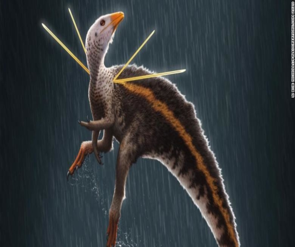 Chicken Sized Dinosaur With Ribbons Protruding From Its Shoulders Discovered In Brazil